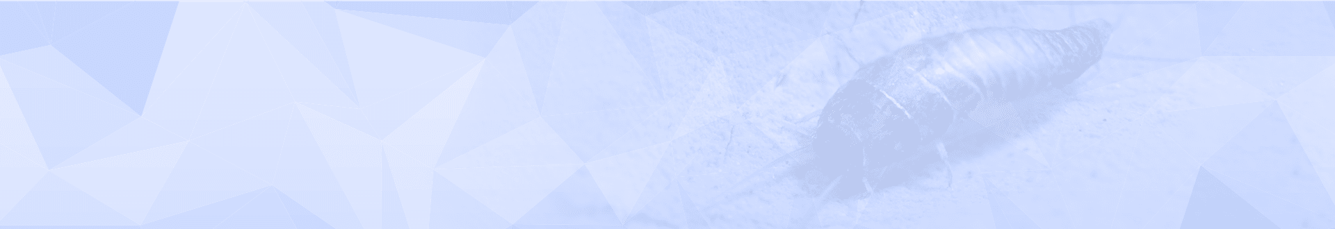 Firebrat Control and Elimination | How to Get Rid of Firebrats